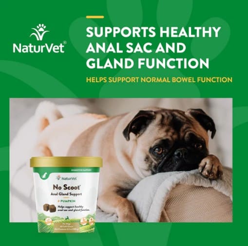 NaturVet No Scoot Soft Chews for Dogs 60 Ct | UPCO
