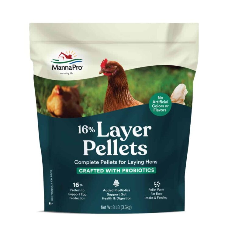 Layer Feed 16% Layer Pellets with ProBiotics 8 lb | UPCO Pet Supplies