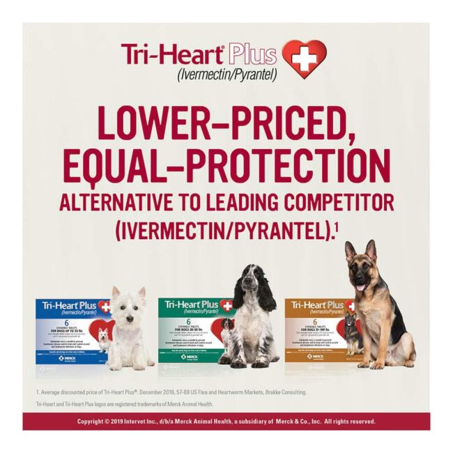 Tri-Heart® Plus Chewable Heartworm Tablets for Dogs 26-50 lbs