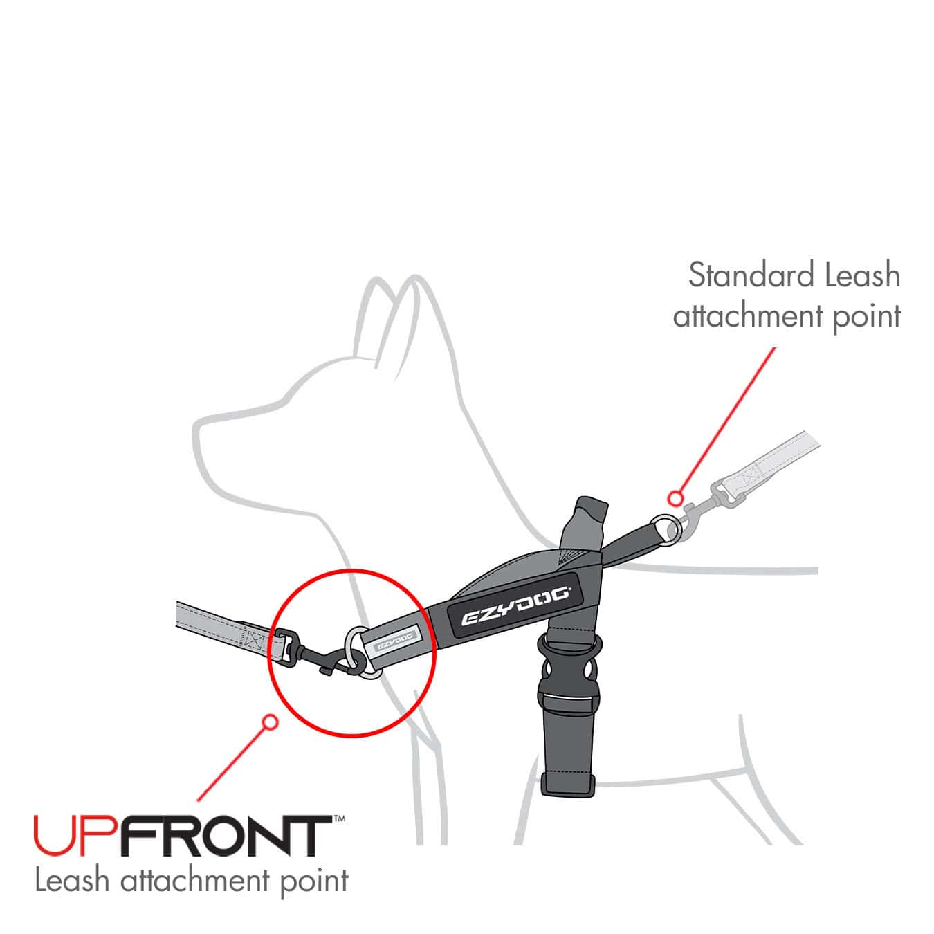 Express Dog Harness: Durable, Adjustable, and Secure