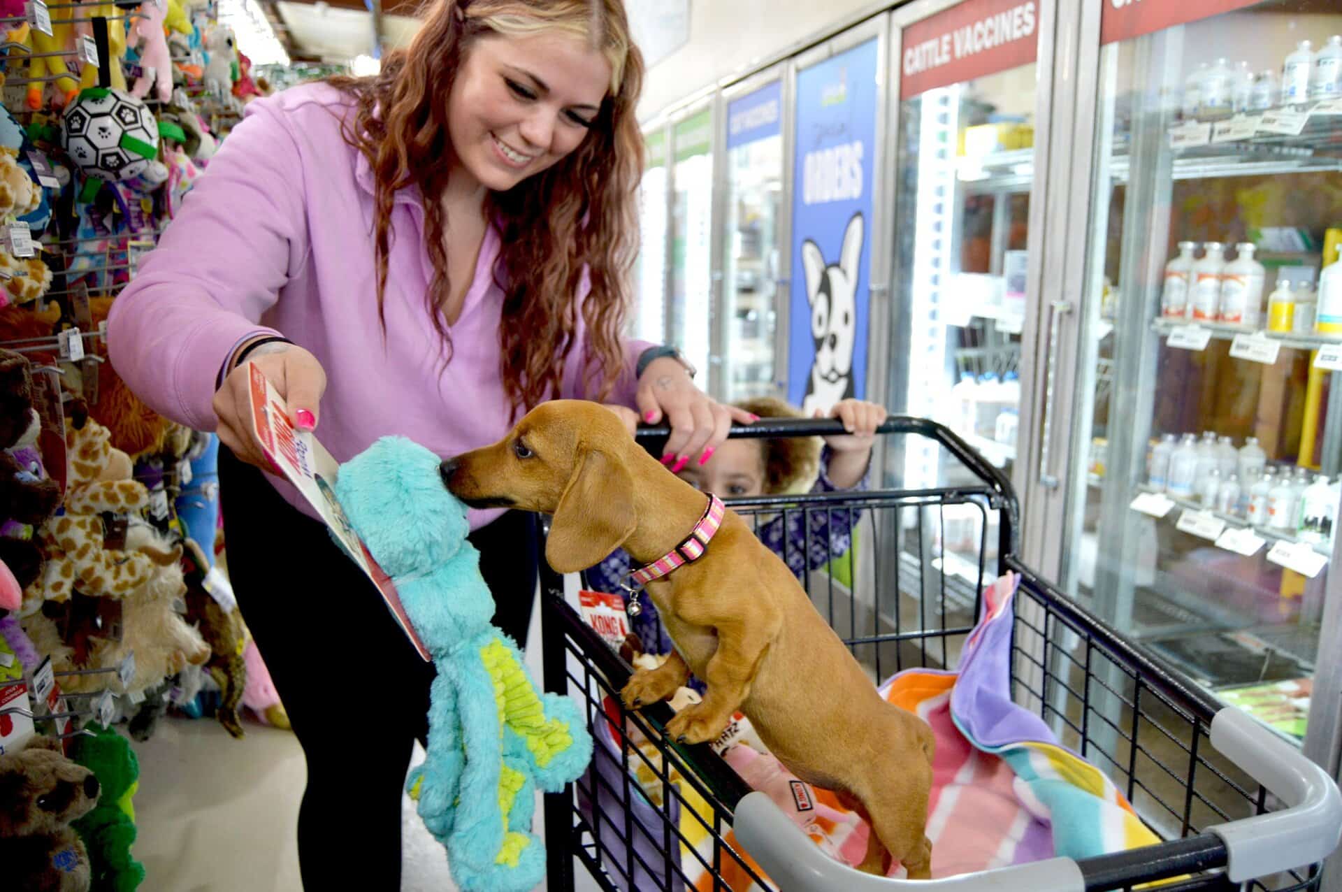 Sale Pet Products from UPCO Pet Supplies