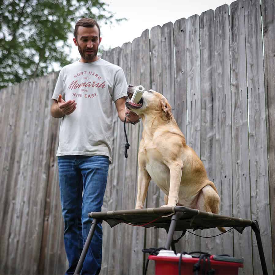 MOmarsh Final Stand Elevated Dog Platform