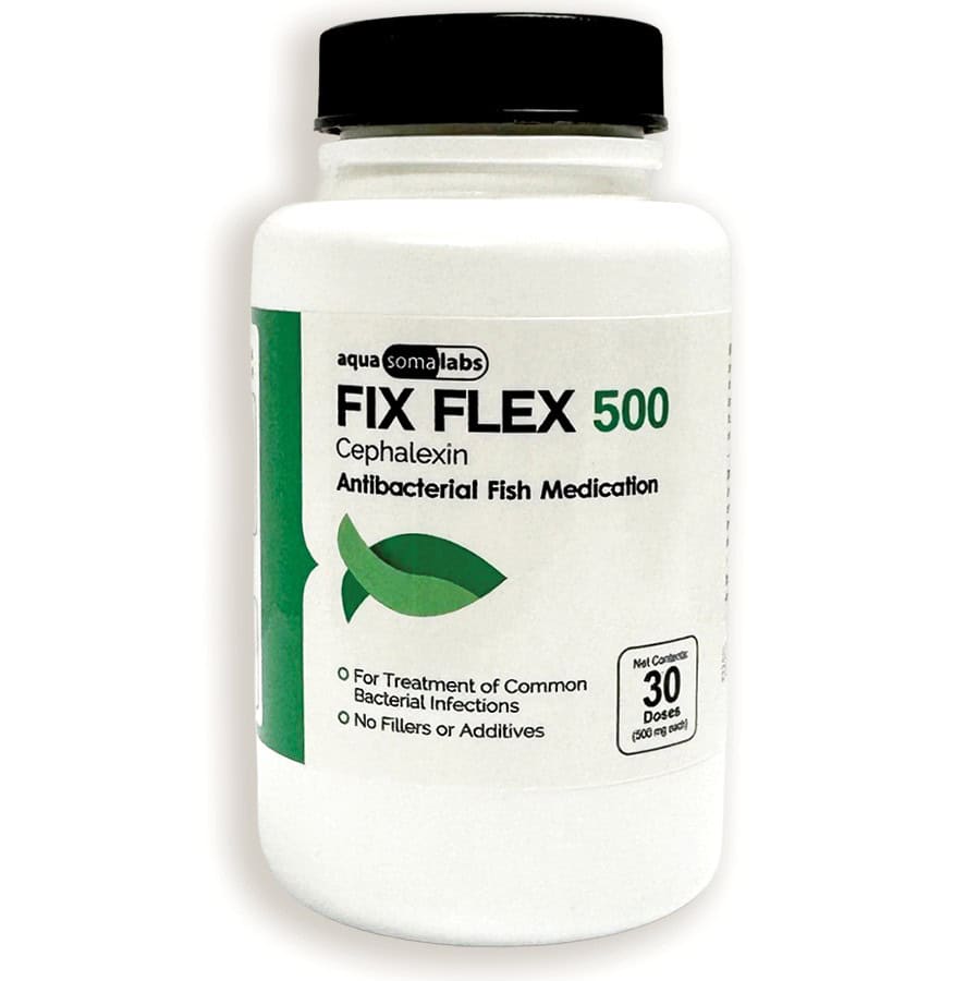 Dogs Product Category at UPCO Pet Supplies